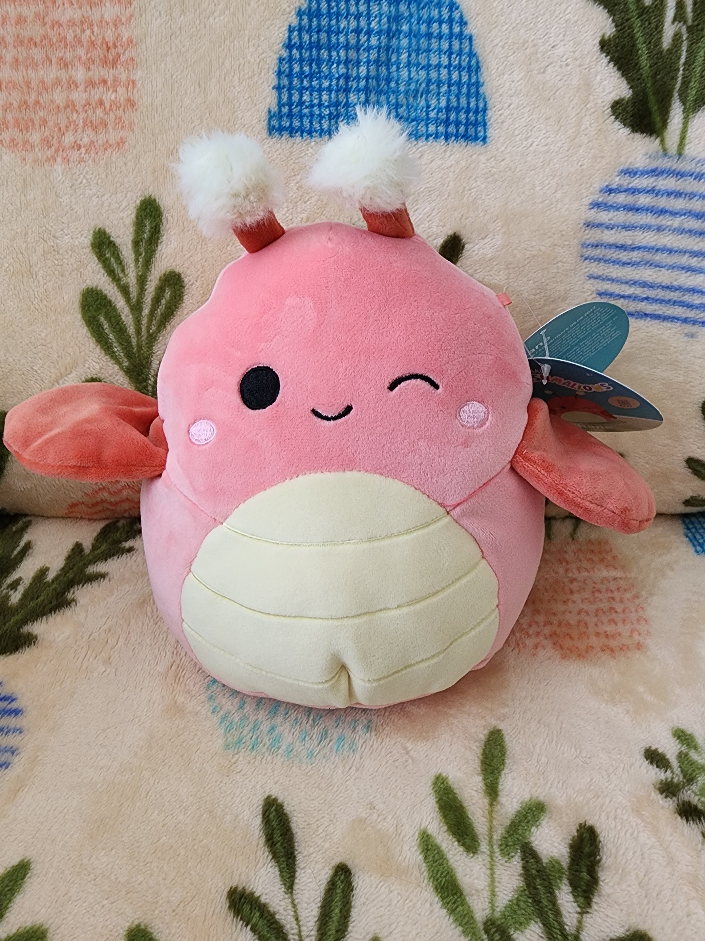 Squishmallow Rare Shane 8" Plush – Gwen's Mermaid Cove